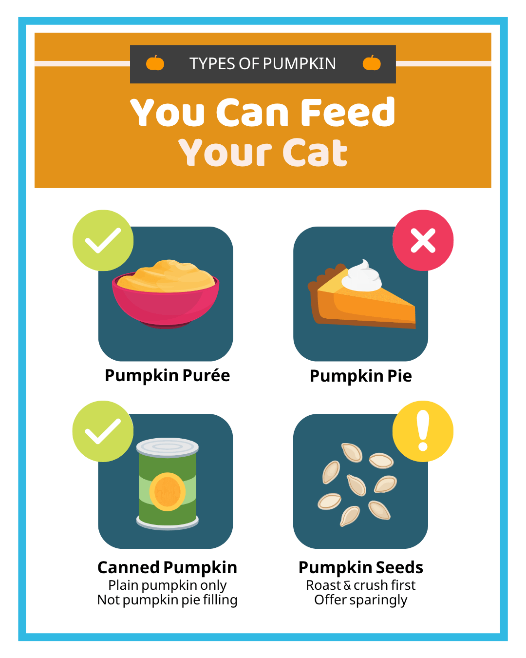 Can Cats Eat Pumpkin? Safe Serving Tips & Health Benefits